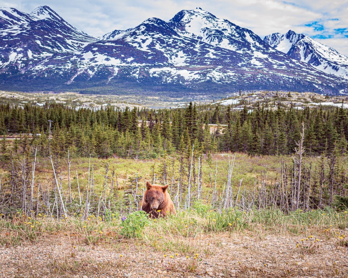 Creatures | Phase Change Photography